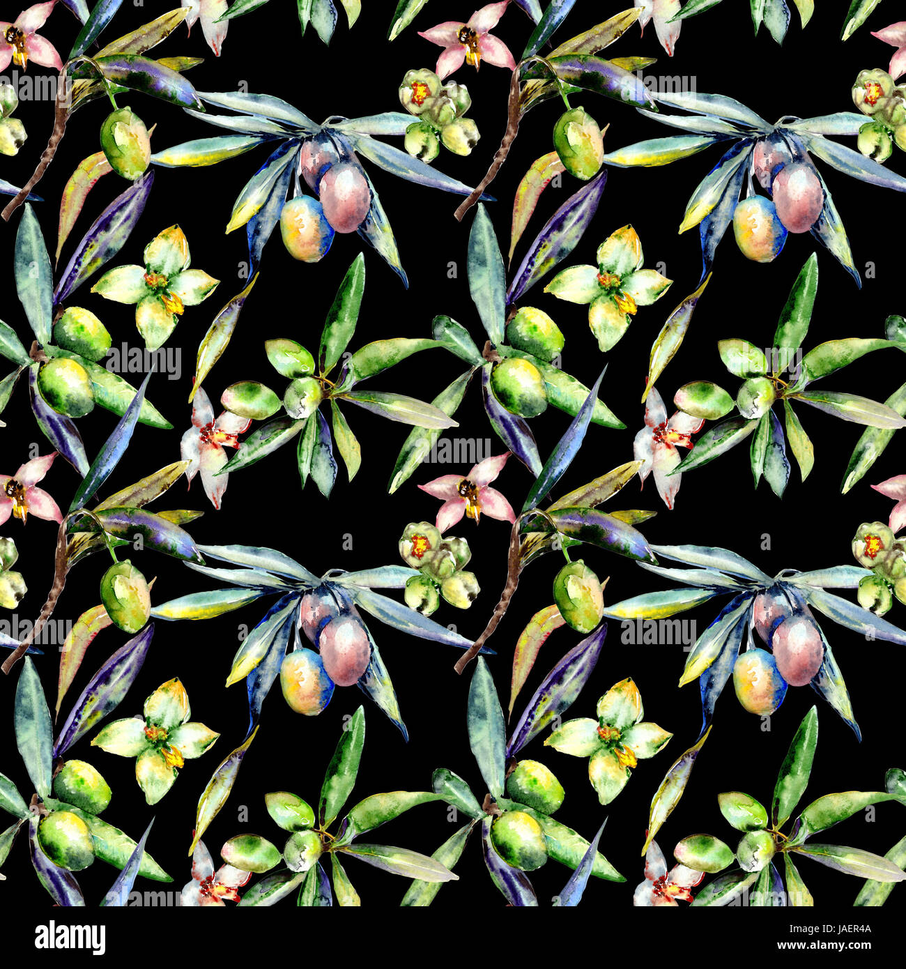 Olive tree pattern in a watercolor style isolated Stock Photo - Alamy
