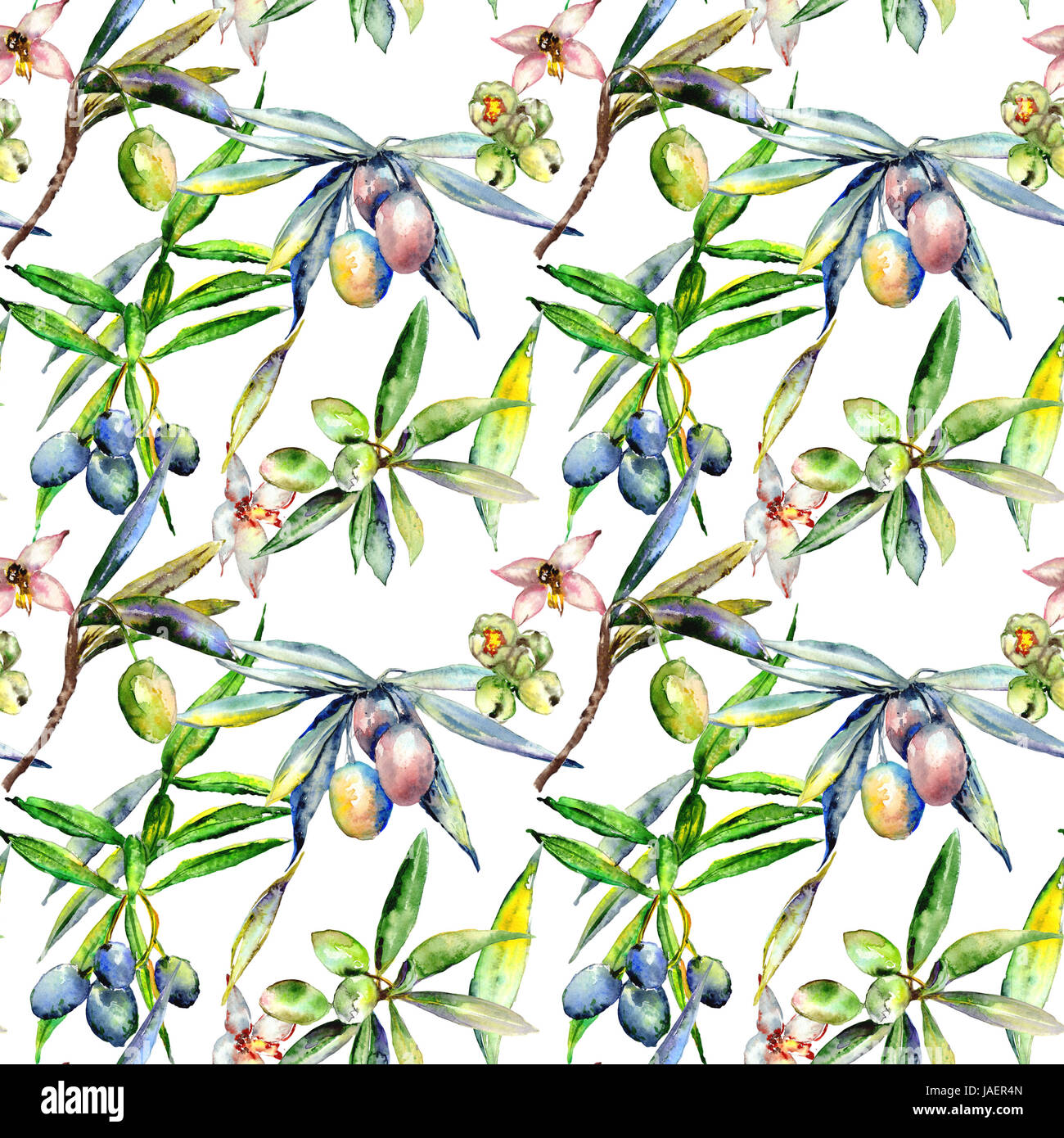 Olive tree pattern in a watercolor style isolated Stock Photo - Alamy