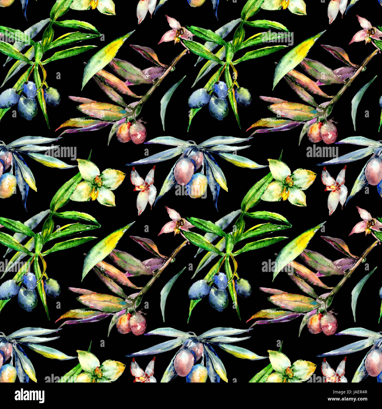 Olive tree pattern in a watercolor style isolated Stock Photo - Alamy