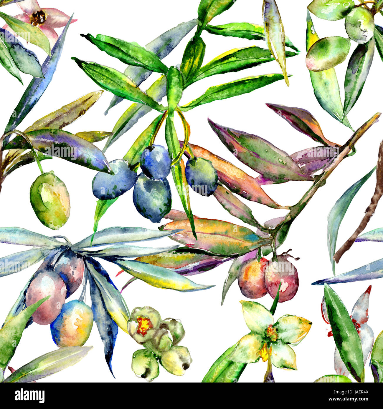 Olive tree pattern in a watercolor style isolated Stock Photo - Alamy