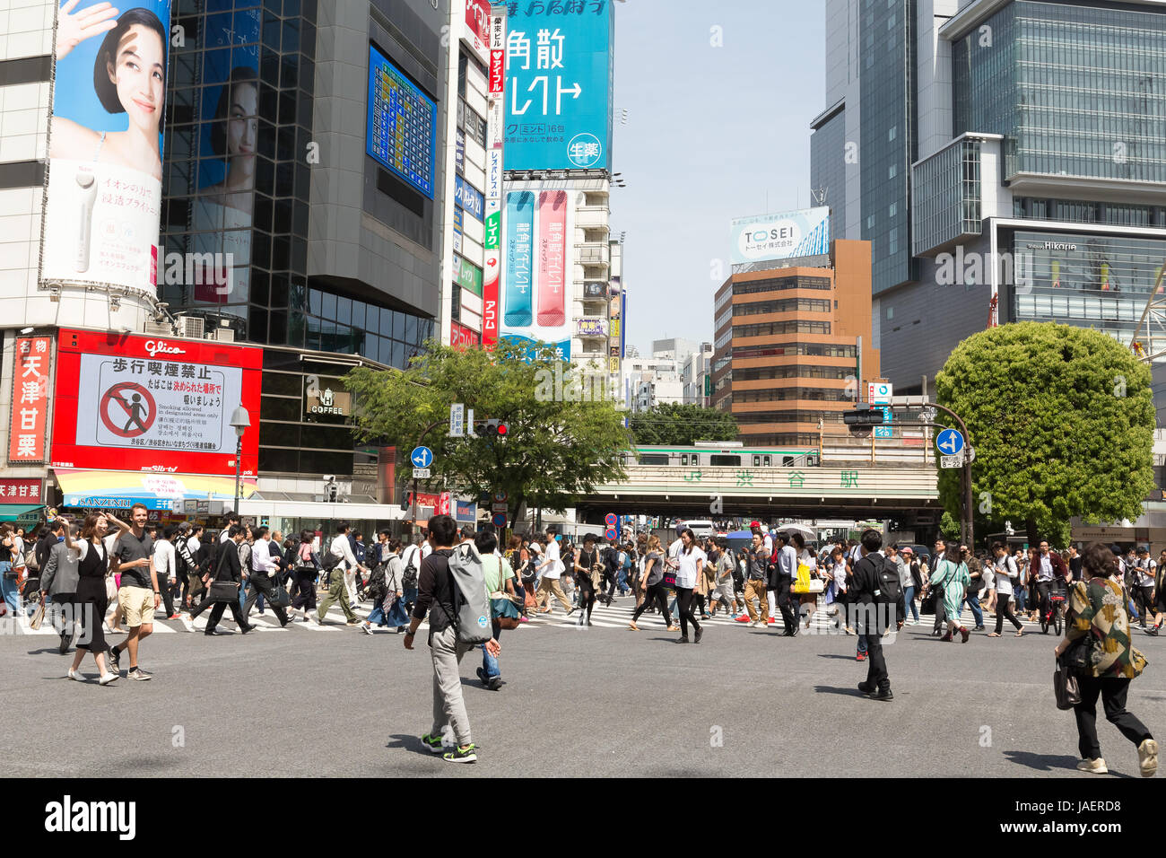 Tokyo city view hi-res stock photography and images - Alamy