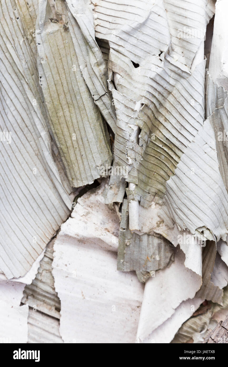 Cardboard texture hi-res stock photography and images - Alamy