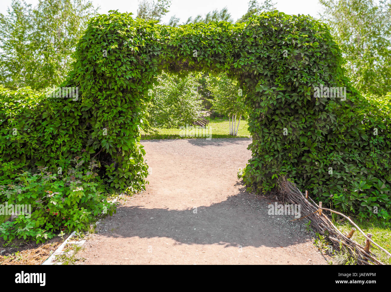 Arch Hedge Stock Photos & Arch Hedge Stock Images - Alamy