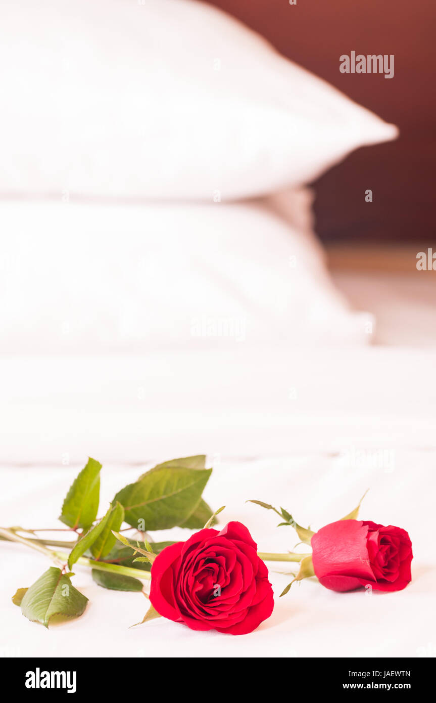 Red roses on the bed Stock Photo - Alamy