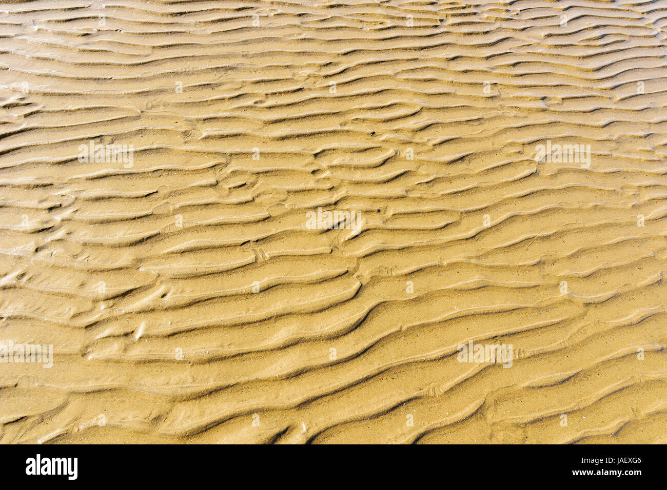 Kutch gujarat sand hi-res stock photography and images - Alamy