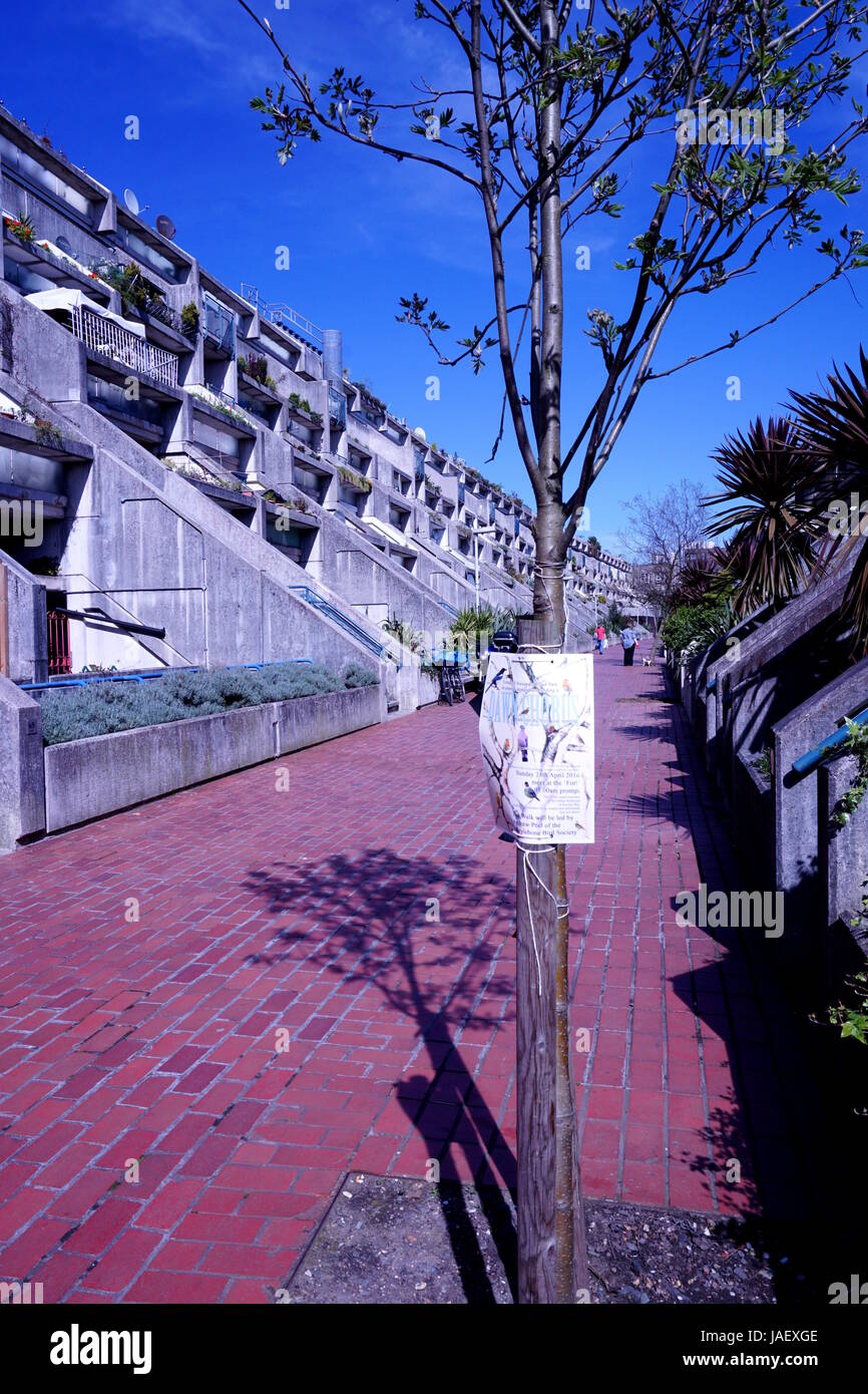 Rowley way hi-res stock photography and images - Alamy