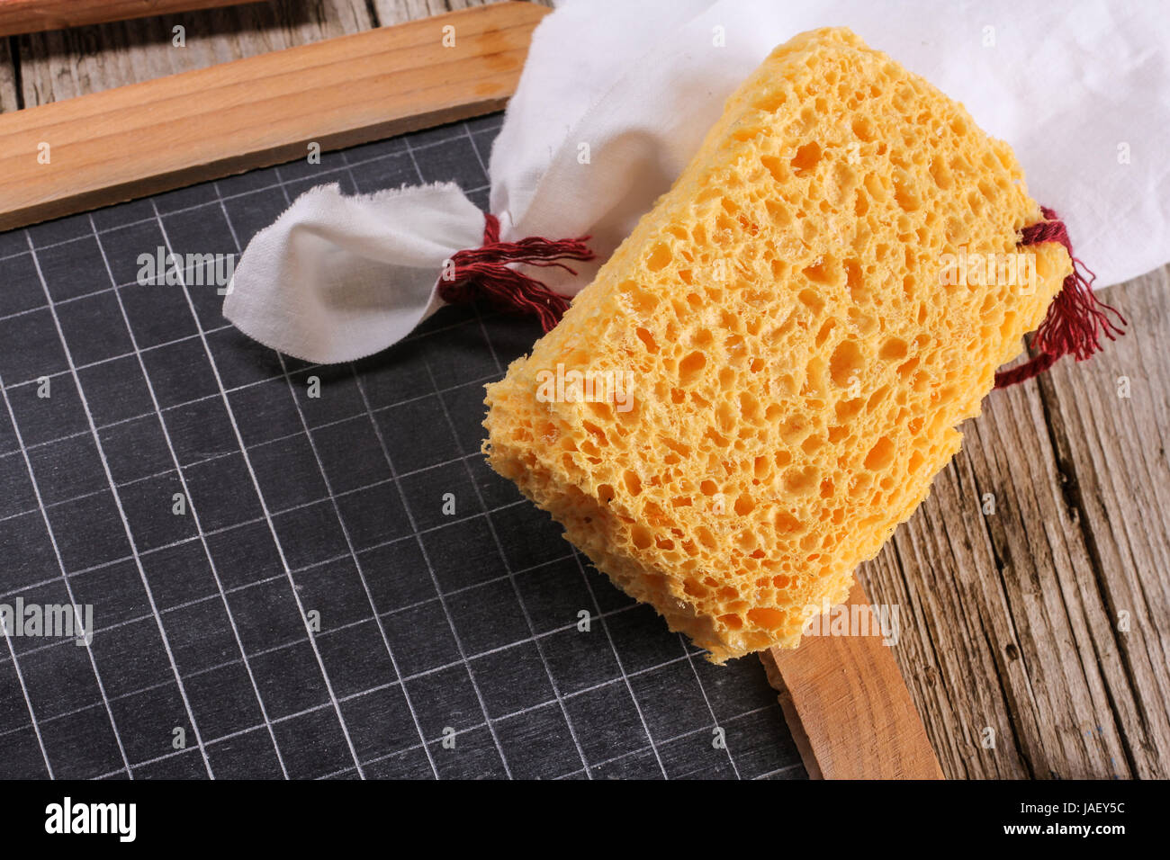 Sponge writing pisa study hi-res stock photography and images - Alamy