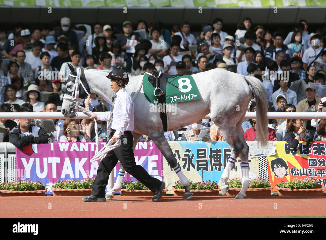 Hyogo, Japan. 3rd June, 2017. Smart Layer Horse Racing : Smart Layer is ...