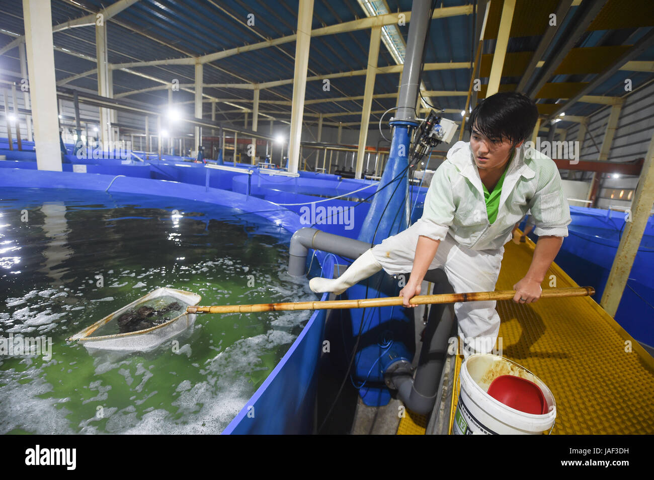 Zhao'an, China's Fujian Province. 6th June, 2017. A worker checks the ...