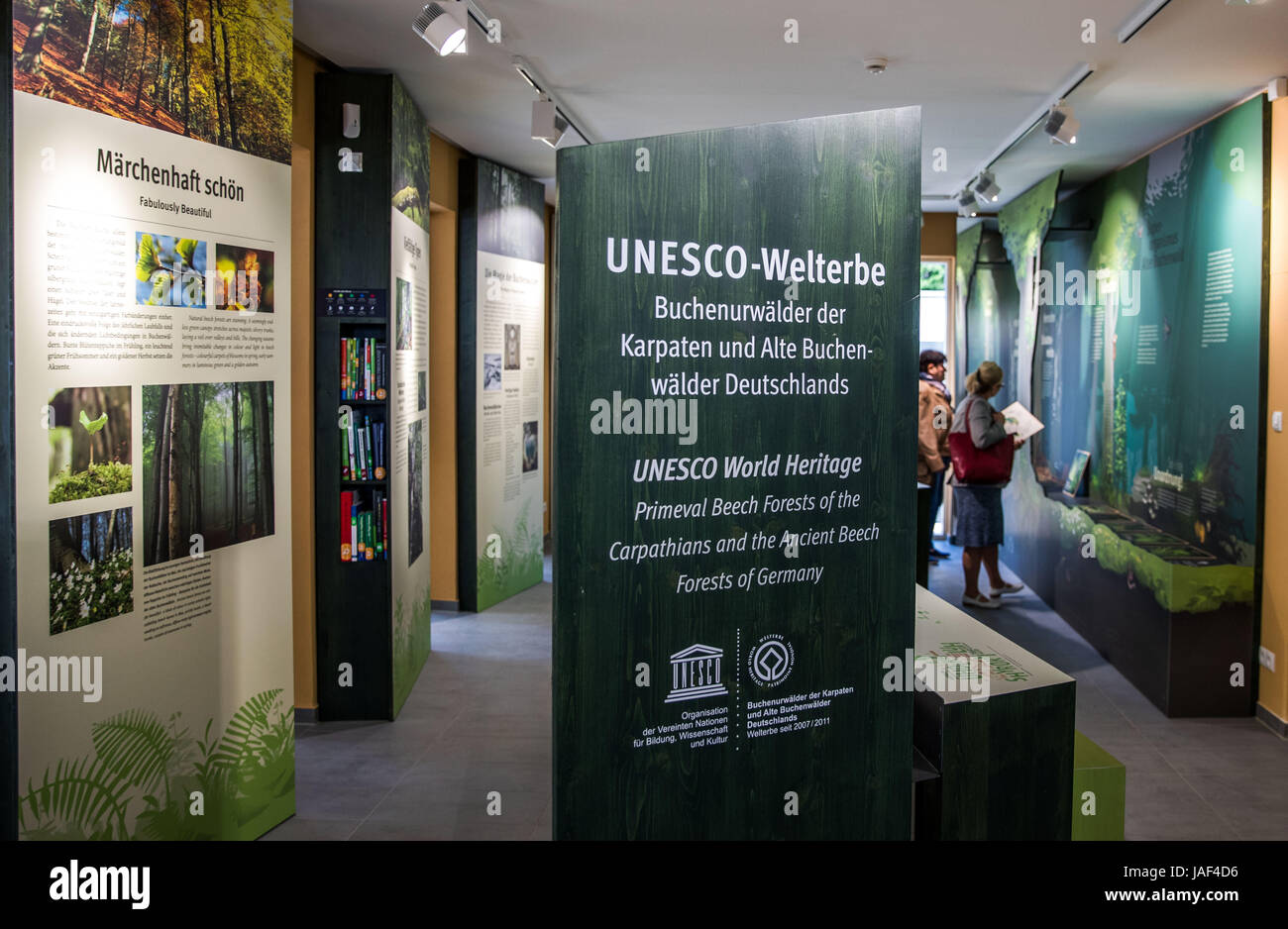 Rugen, Germany. 06th June, 2017. Visitors stand in the new permanent ...