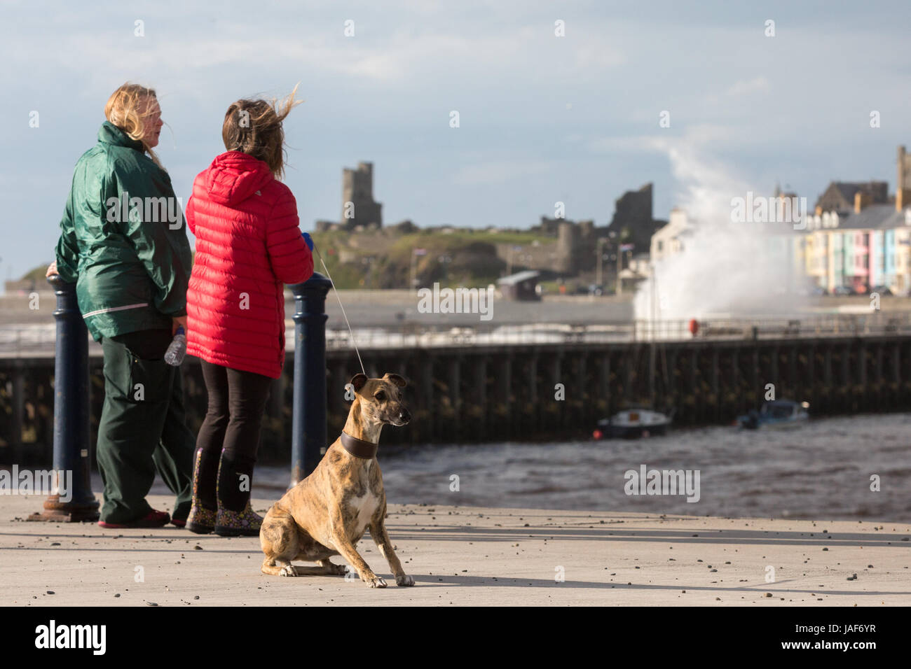 Two woman taking a dog for a walk while the Strong winds combined with ...