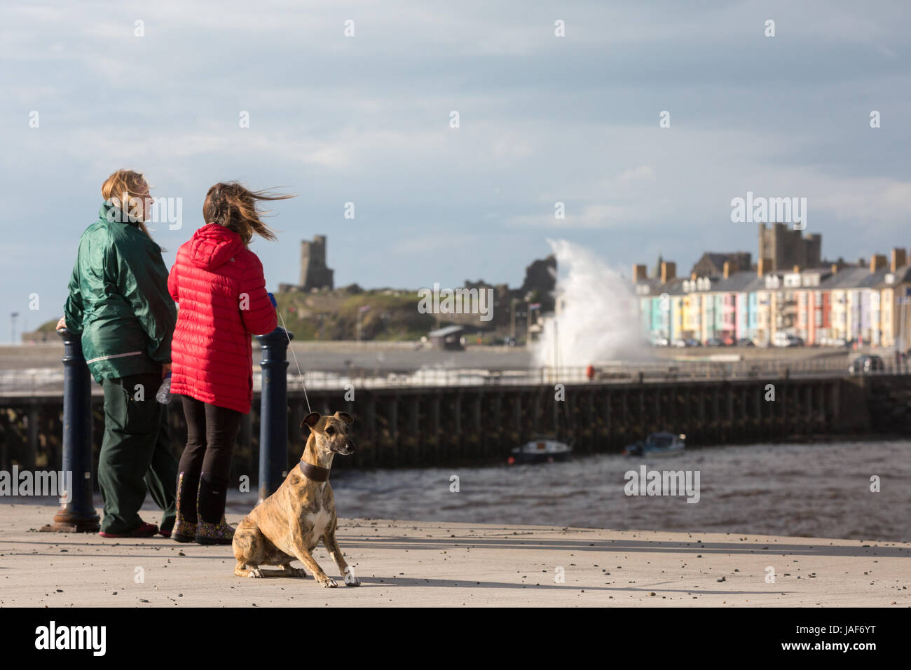 Two woman taking a dog for a walk while the Strong winds combined with ...