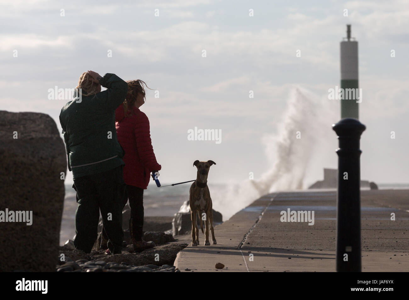 Two woman taking a dog for a walk while the Strong winds combined with ...