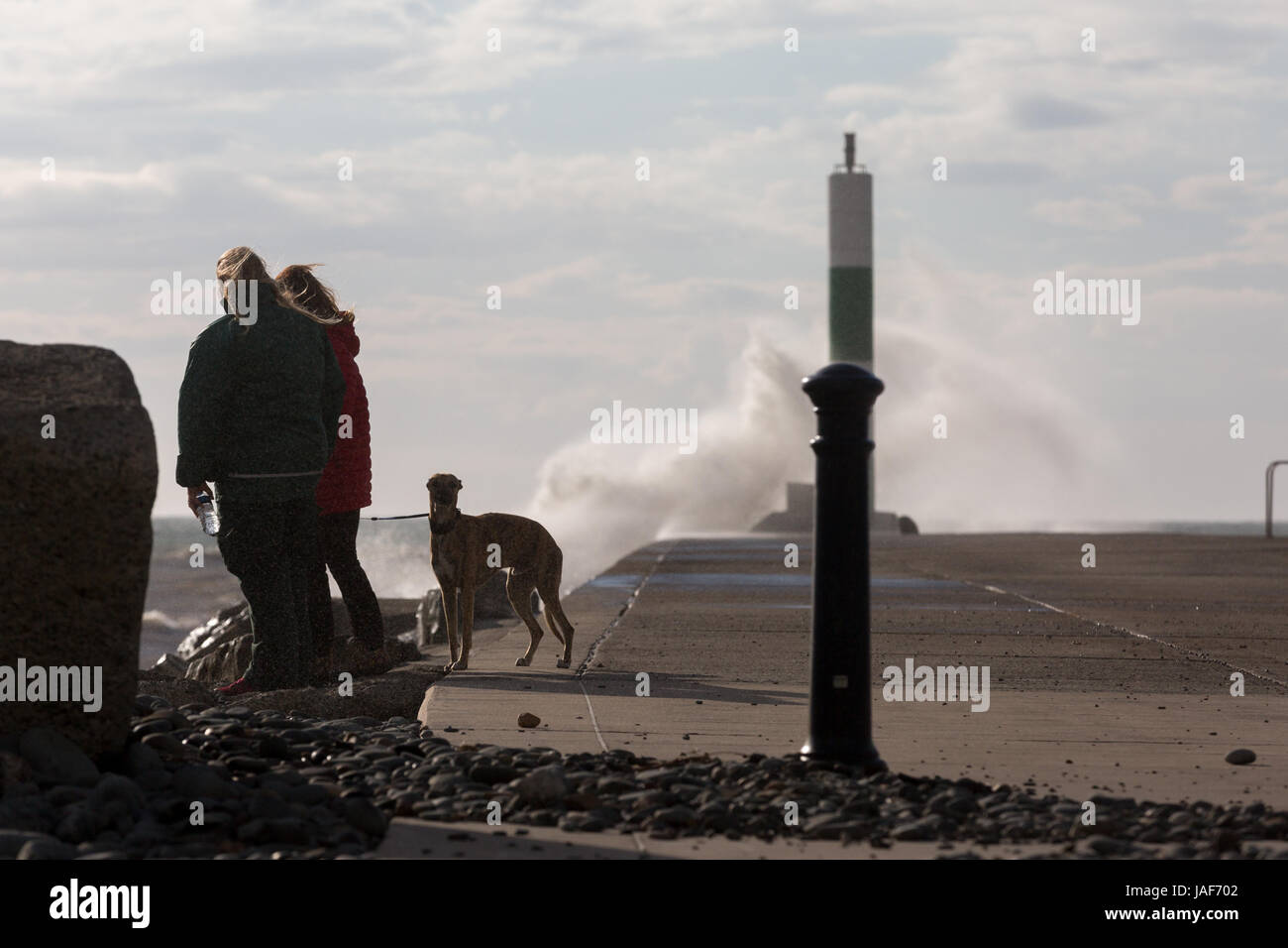 Two woman taking a dog for a walk while the Strong winds combined with ...