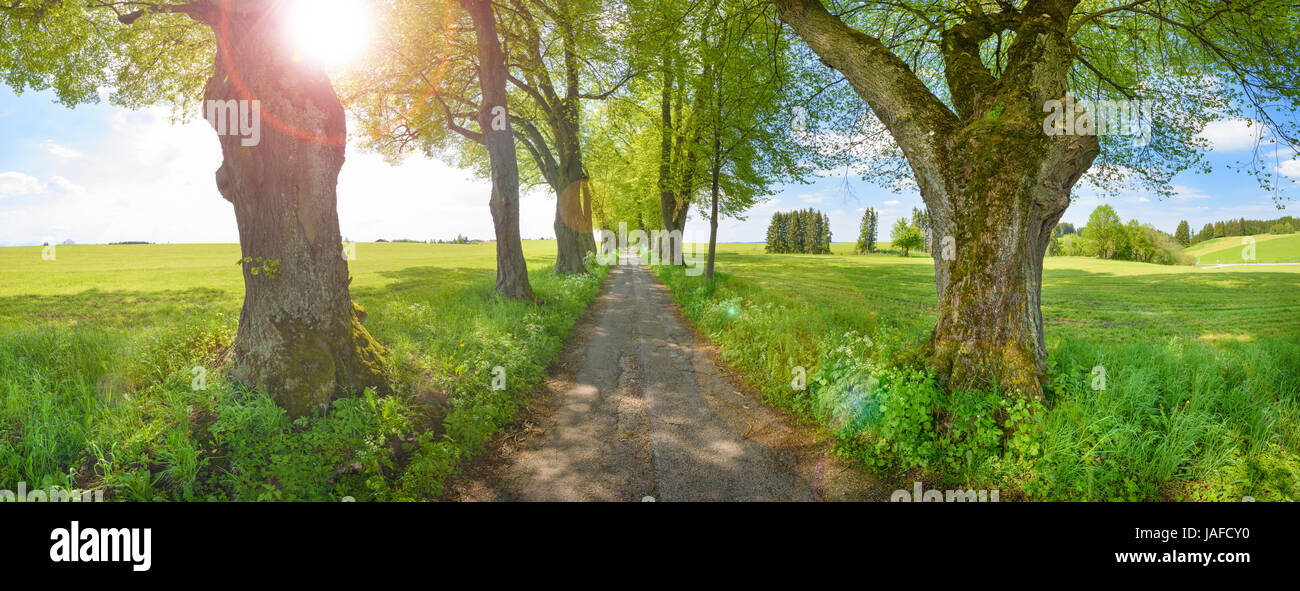Panorama footpath hi-res stock photography and images - Alamy