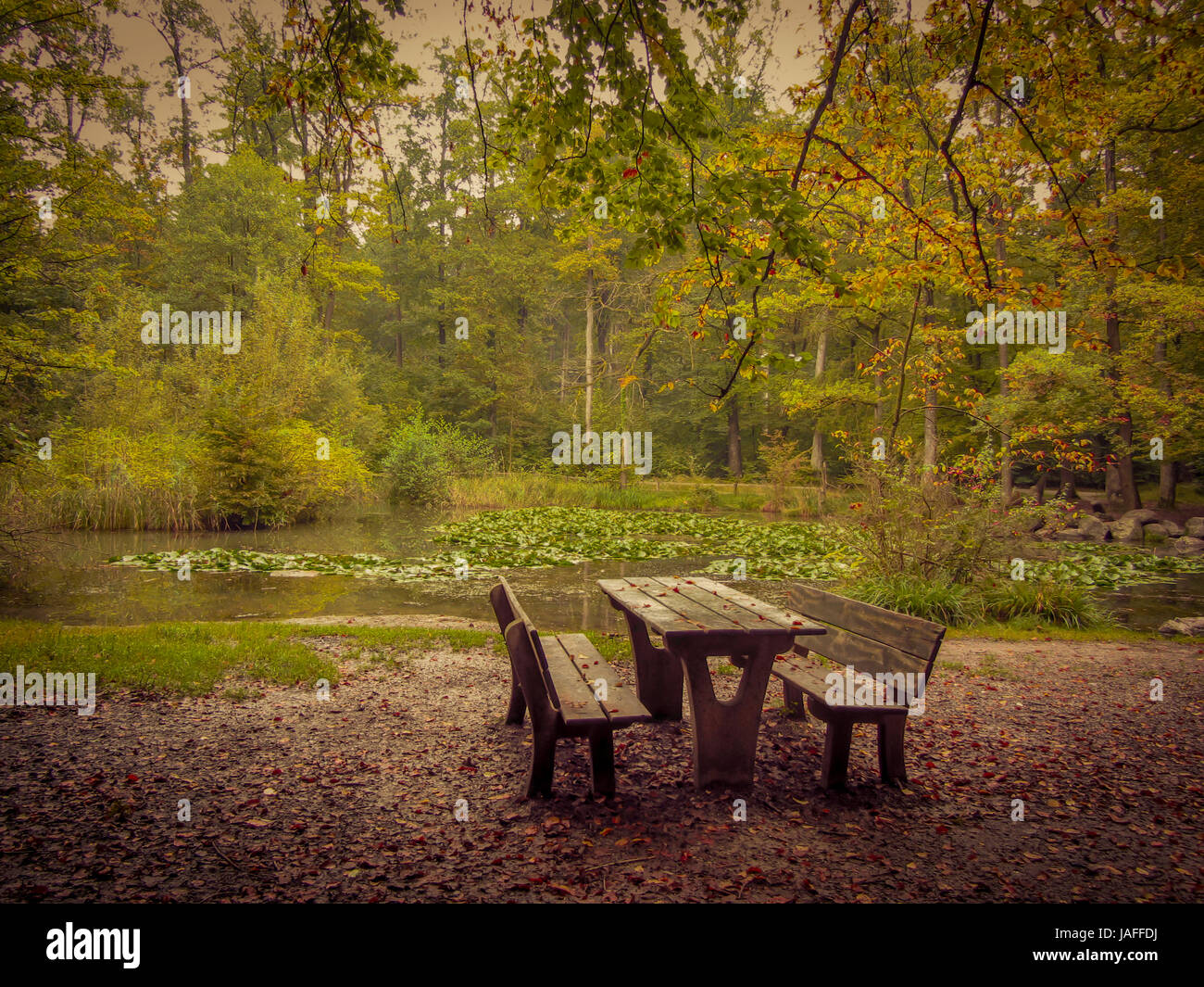 Benches in autumn by a small pond in the forest Stock Photo - Alamy