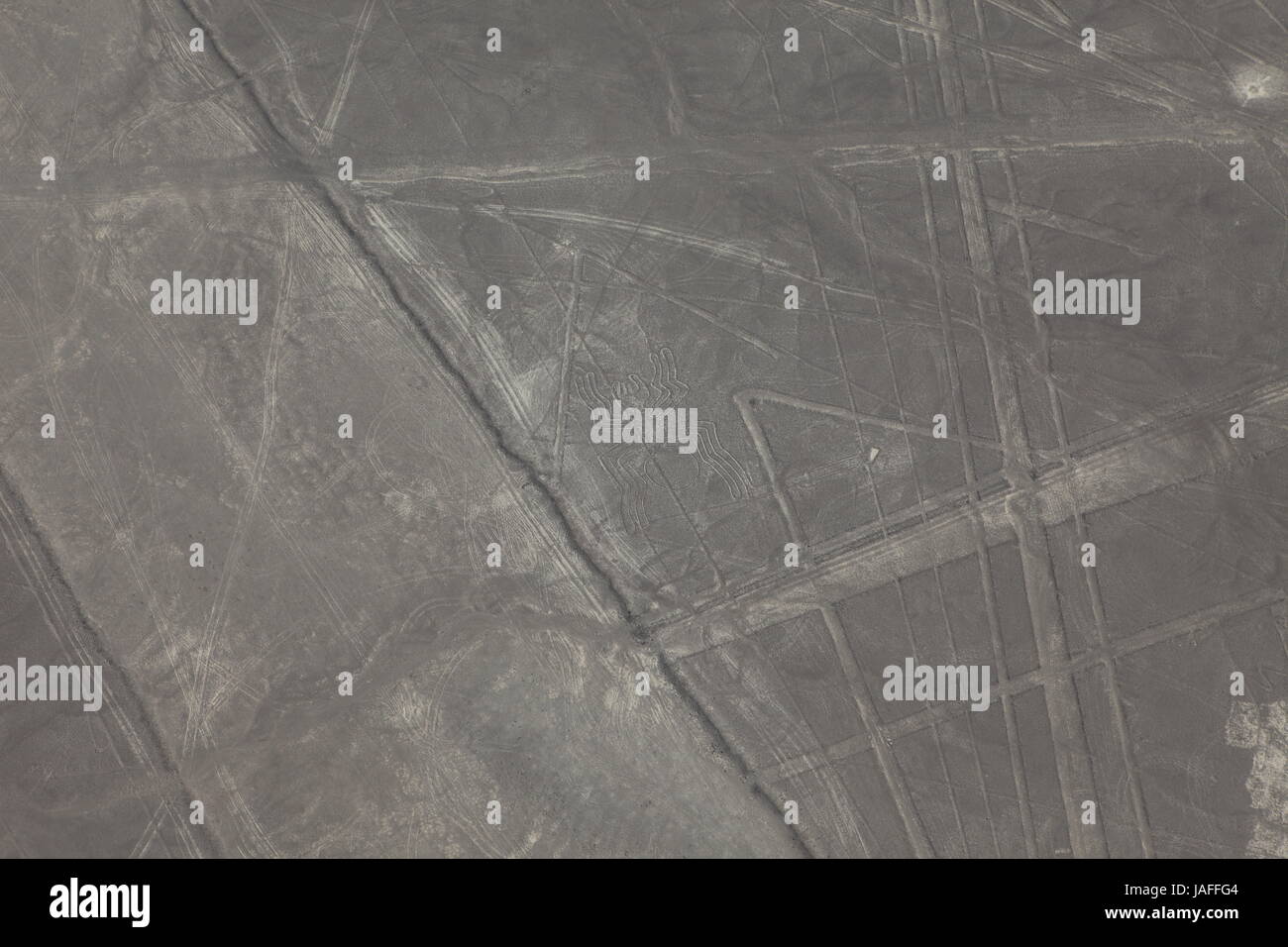 Nasca lines whale hi-res stock photography and images - Alamy