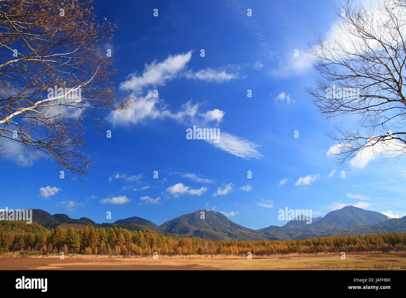 Odashiro plateau of autumn in Nikko, Tochigi, Japan Stock Photo - Alamy