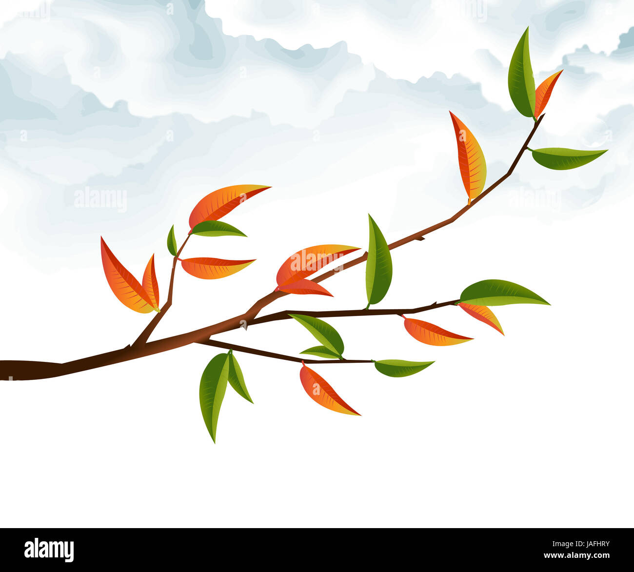 Tree Branch with Green Leaves Stock Photo - Alamy