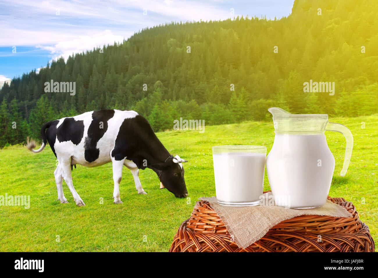 Livestock collage hi-res stock photography and images - Alamy