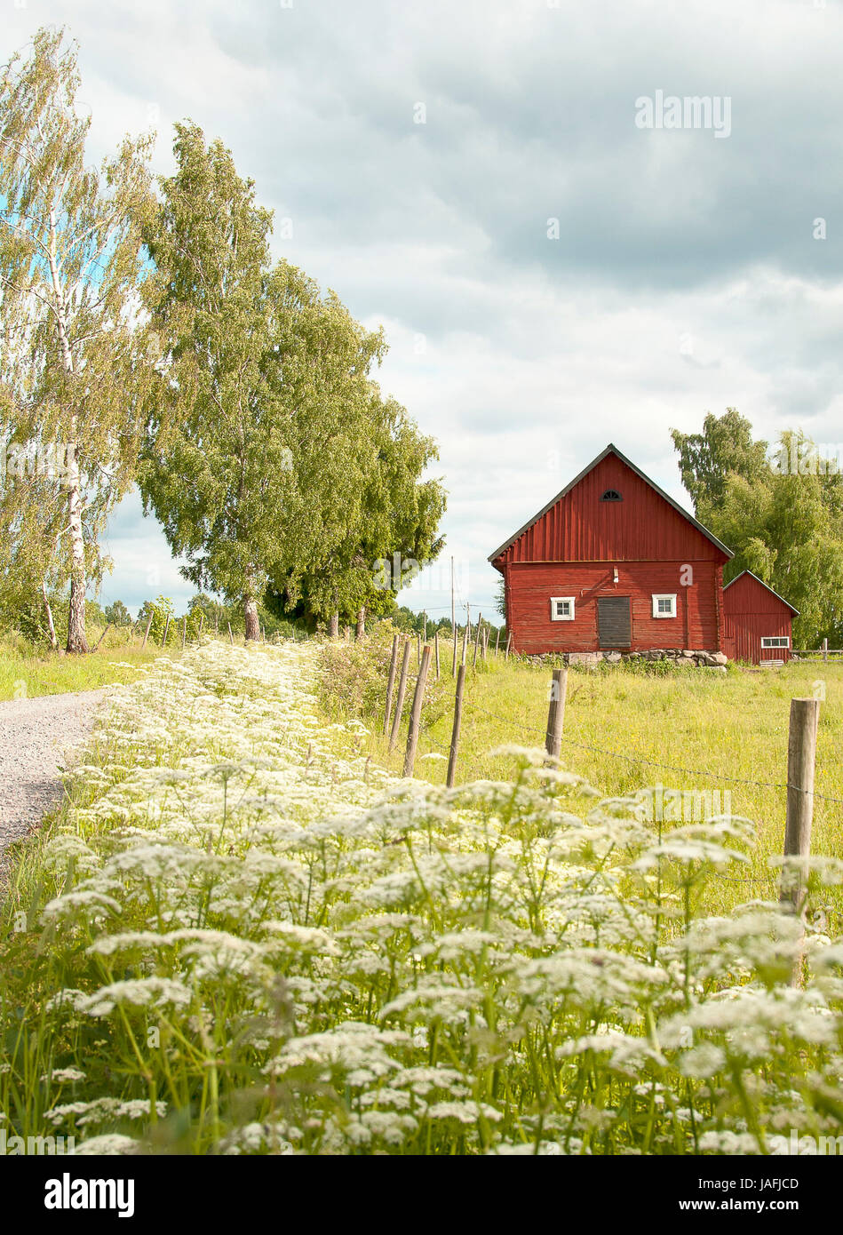 Südschwedische Landschaft mit Scheune; Scenery with barn in the south ...