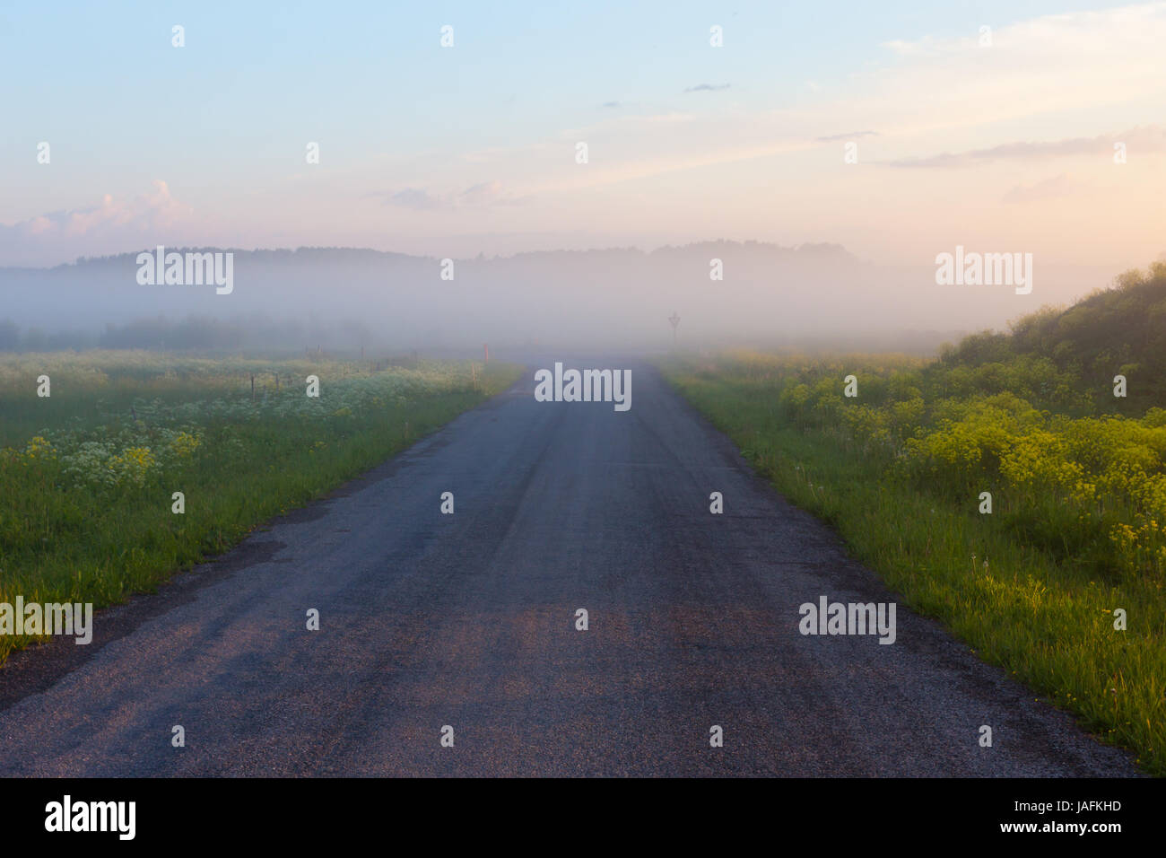 Misty rural road in the field with fog Stock Photo - Alamy