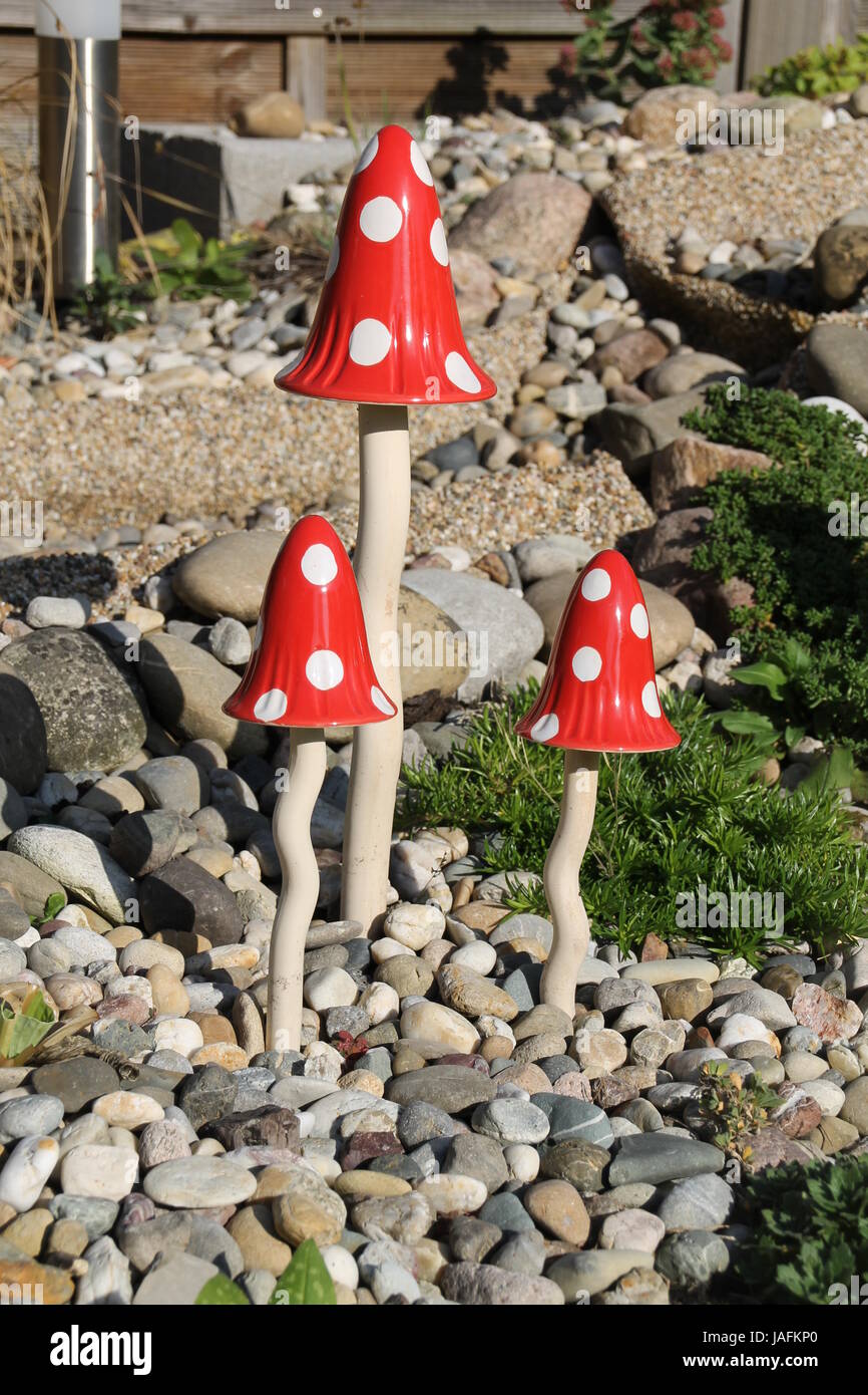 China toadstools hi-res stock photography and images - Alamy