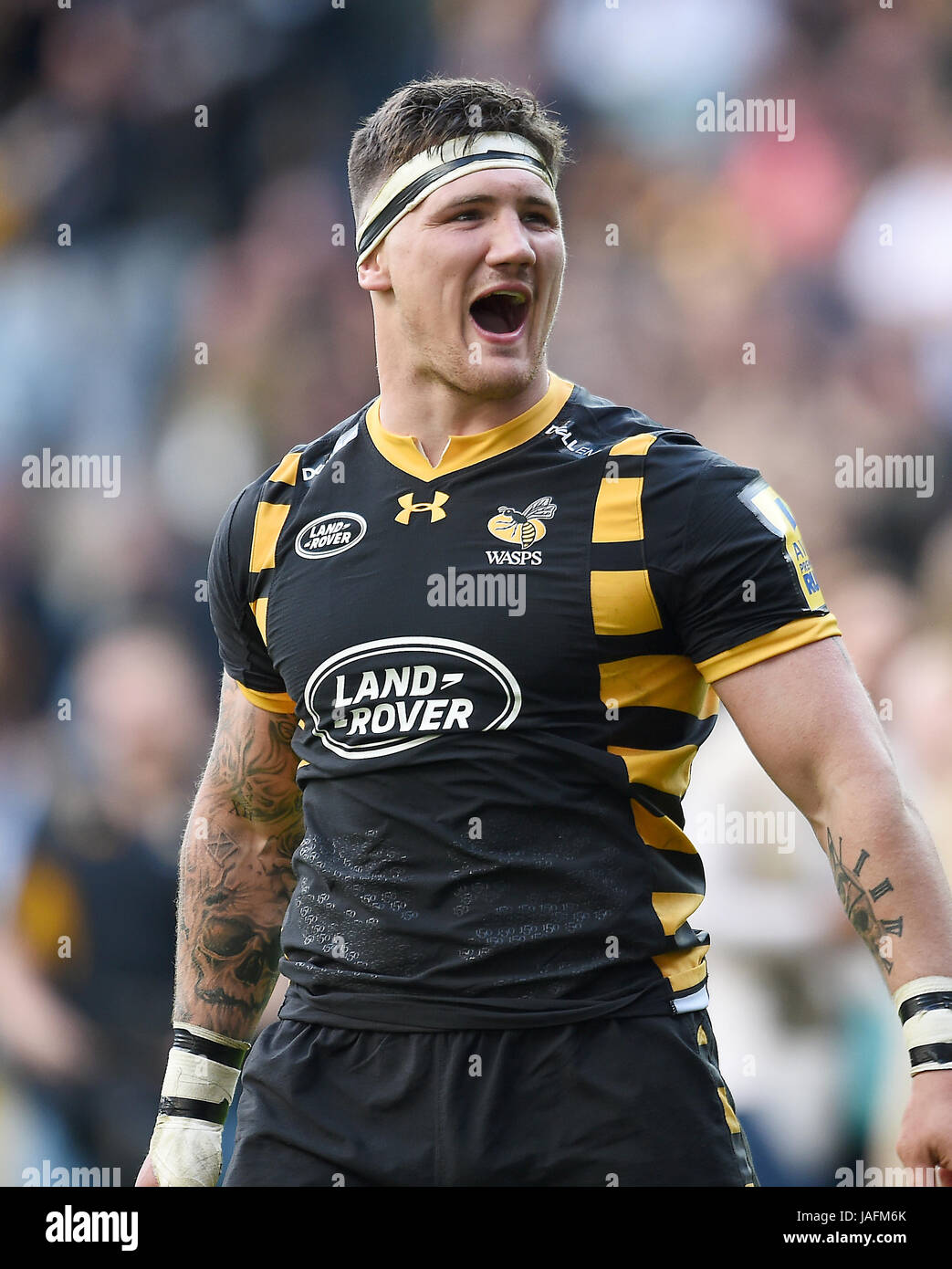 Guy Thompson, Wasps Stock Photo - Alamy