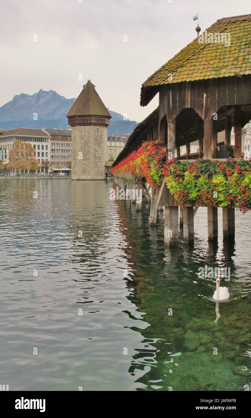 kapeller bridge in lucerne Stock Photo - Alamy