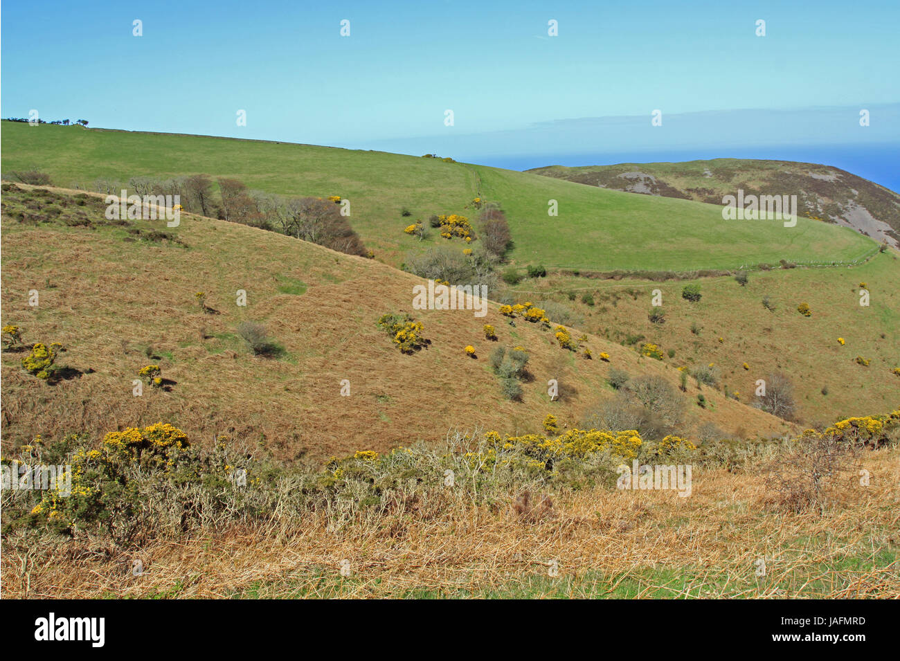Exmoor National Park view Stock Photo - Alamy