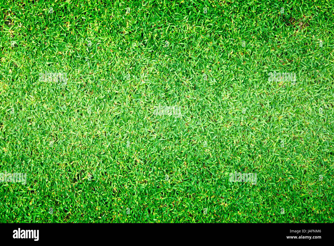 grass background Golf Courses green lawn pattern textured background ...