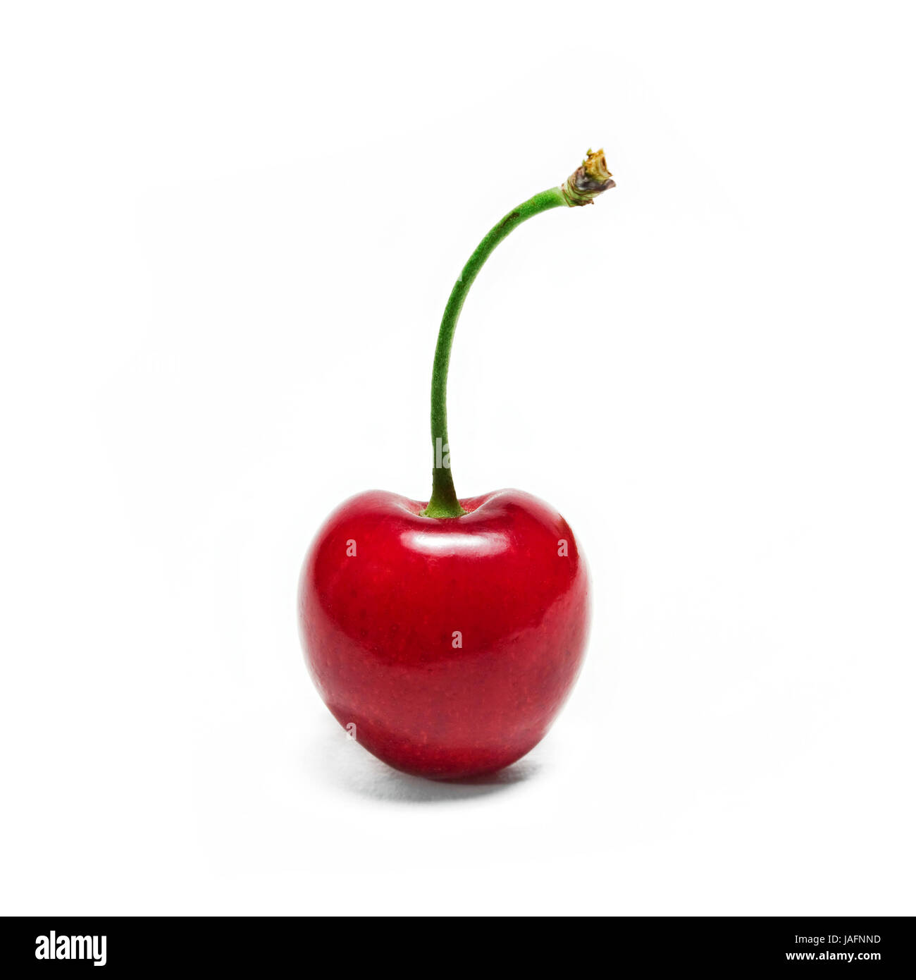 Cherry isolated on white background, one cherry Stock Photo - Alamy