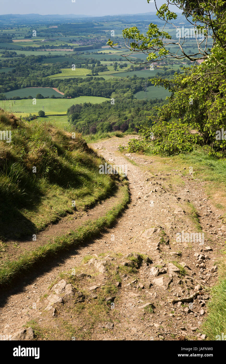 UK, England, Shropshire, The Wrekin, Shropshire Way path descending ...