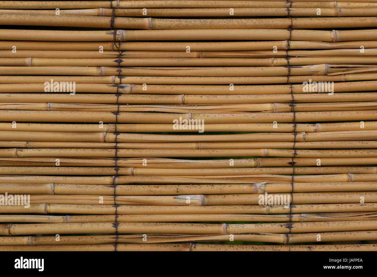 Japanese bamboo texture for background. Bamboo wall Stock Photo - Alamy