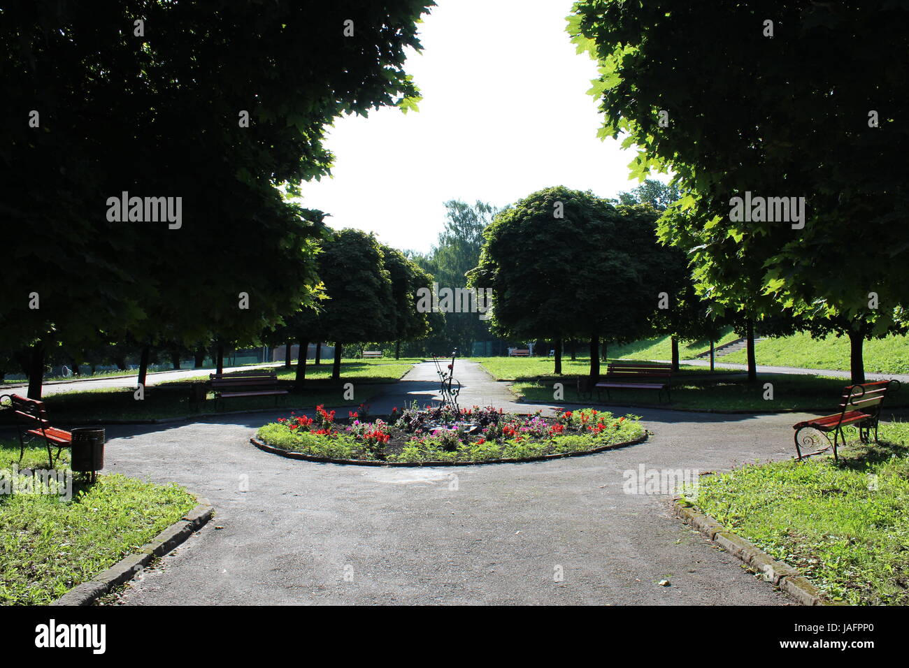 Beautiful city park with pathes and green tree in Lvov Stock Photo - Alamy