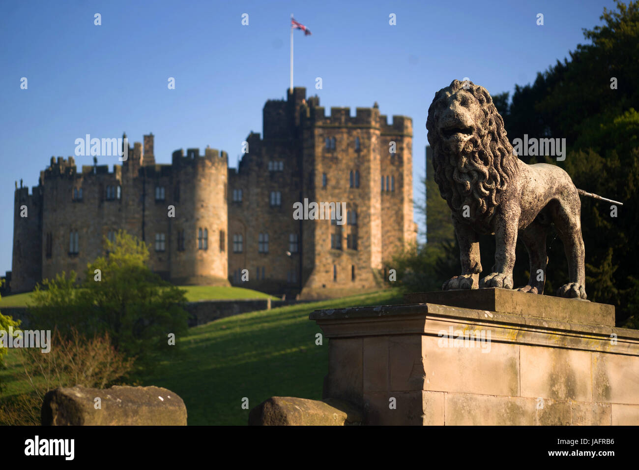 Lion of alnwick hi-res stock photography and images - Alamy