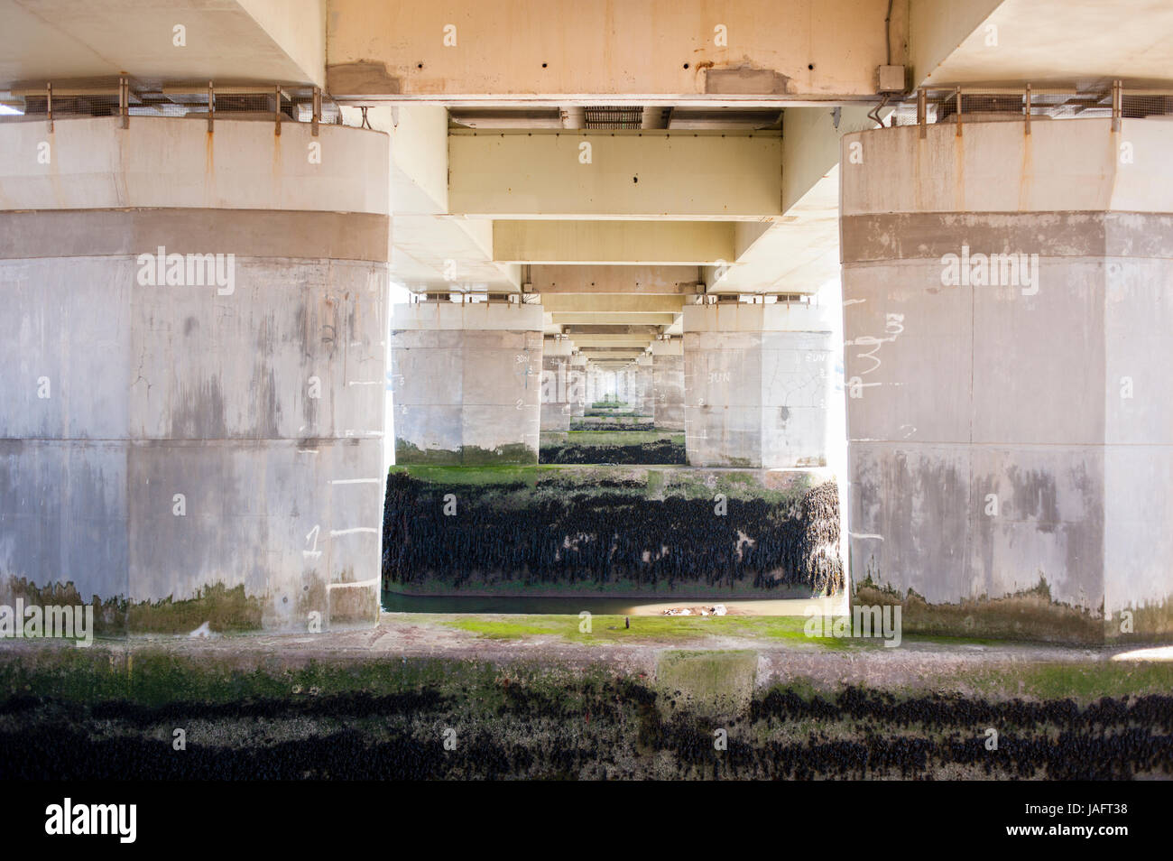 The Tay Road Bridge as seen from the north bank of the estuary of the ...