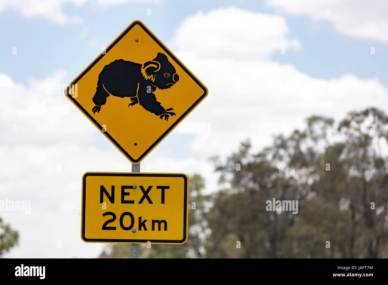 Koalas warning sign hi-res stock photography and images - Alamy