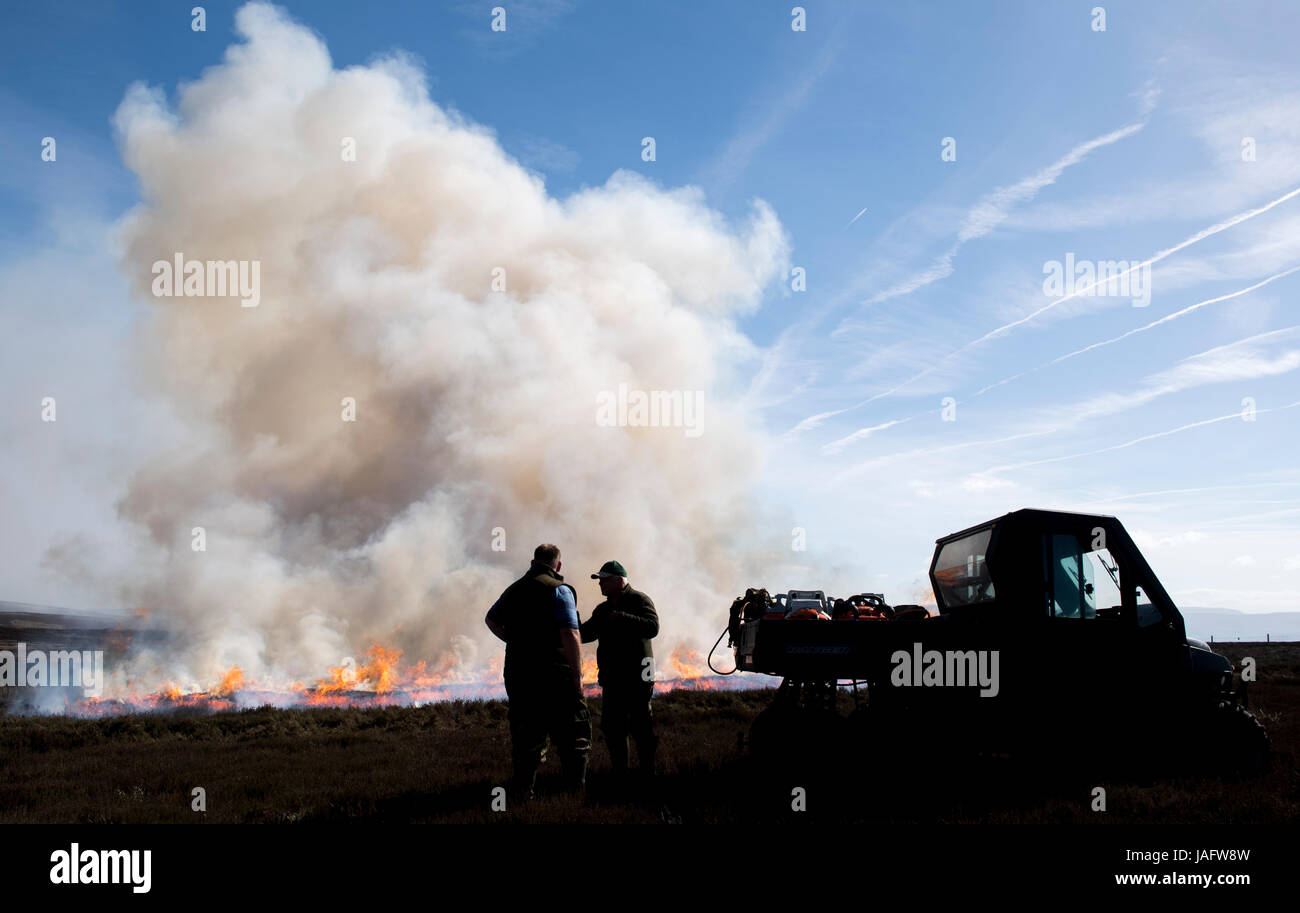 Heather burning on a Grouse Moor in the Yorkshire Dales, UK Stock Photo ...