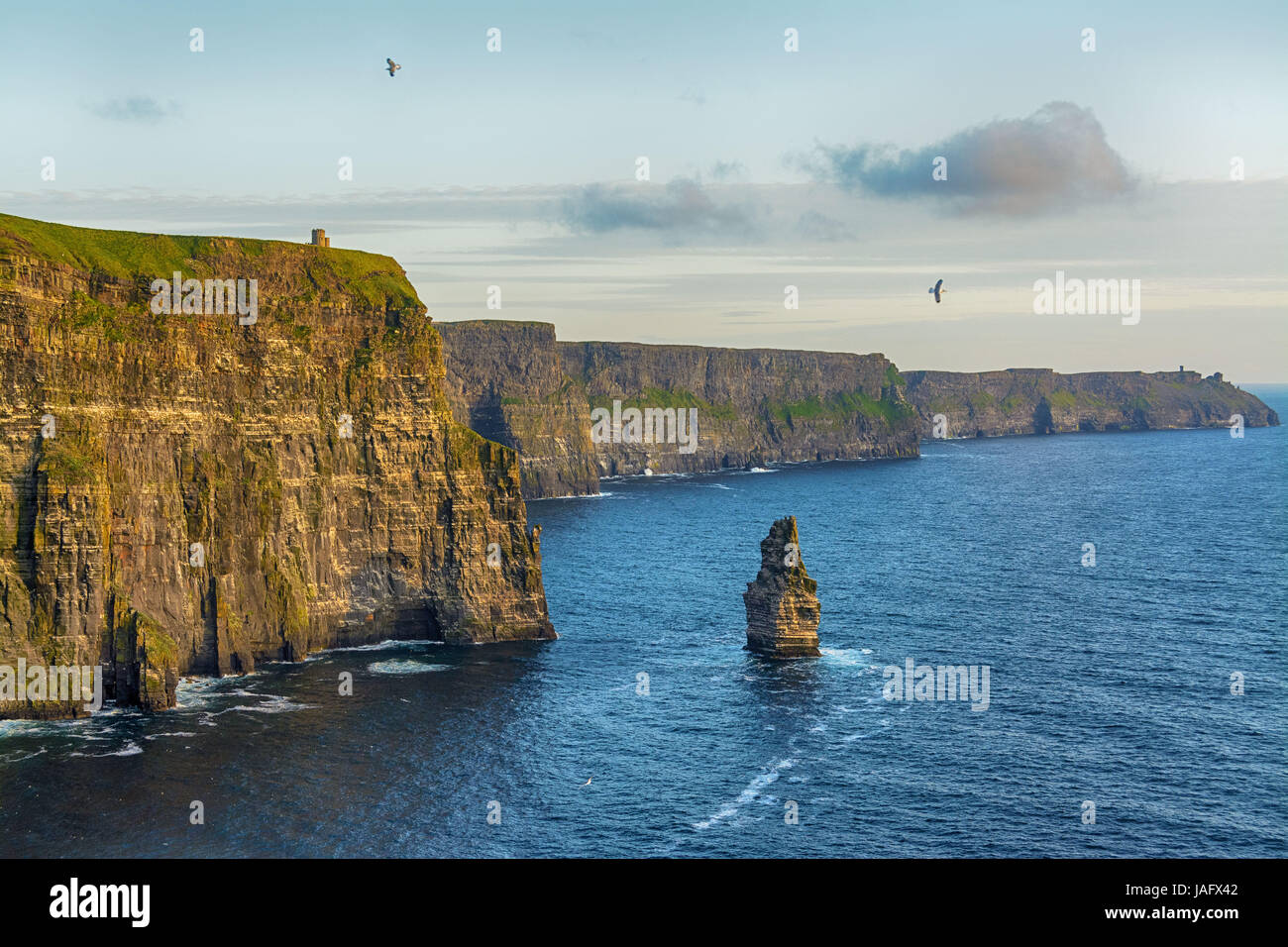 Cliffs of moher tourist attraction hi-res stock photography and images ...