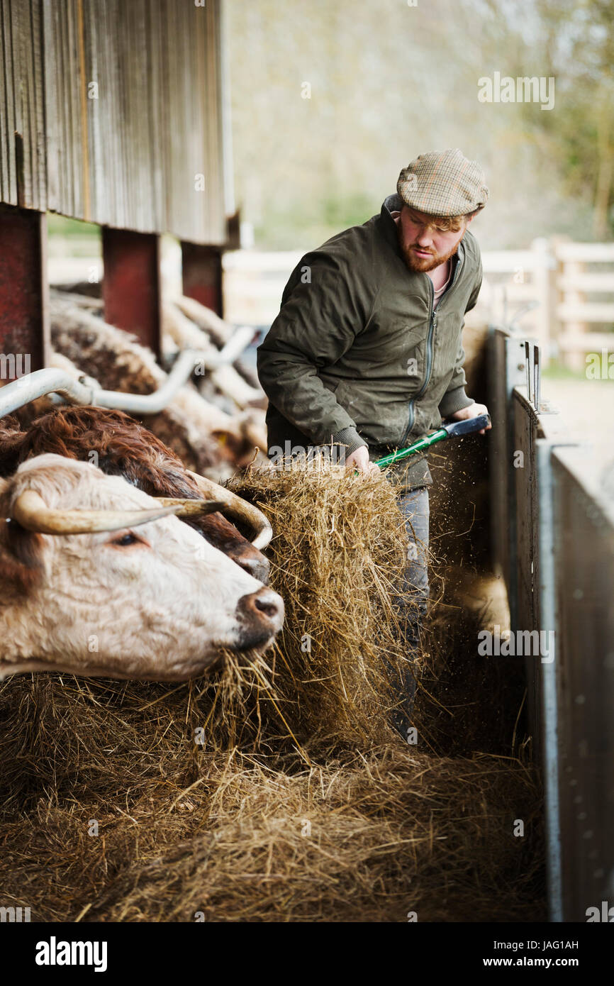 Pitchfork farmer in hay in hi-res stock photography and images - Alamy