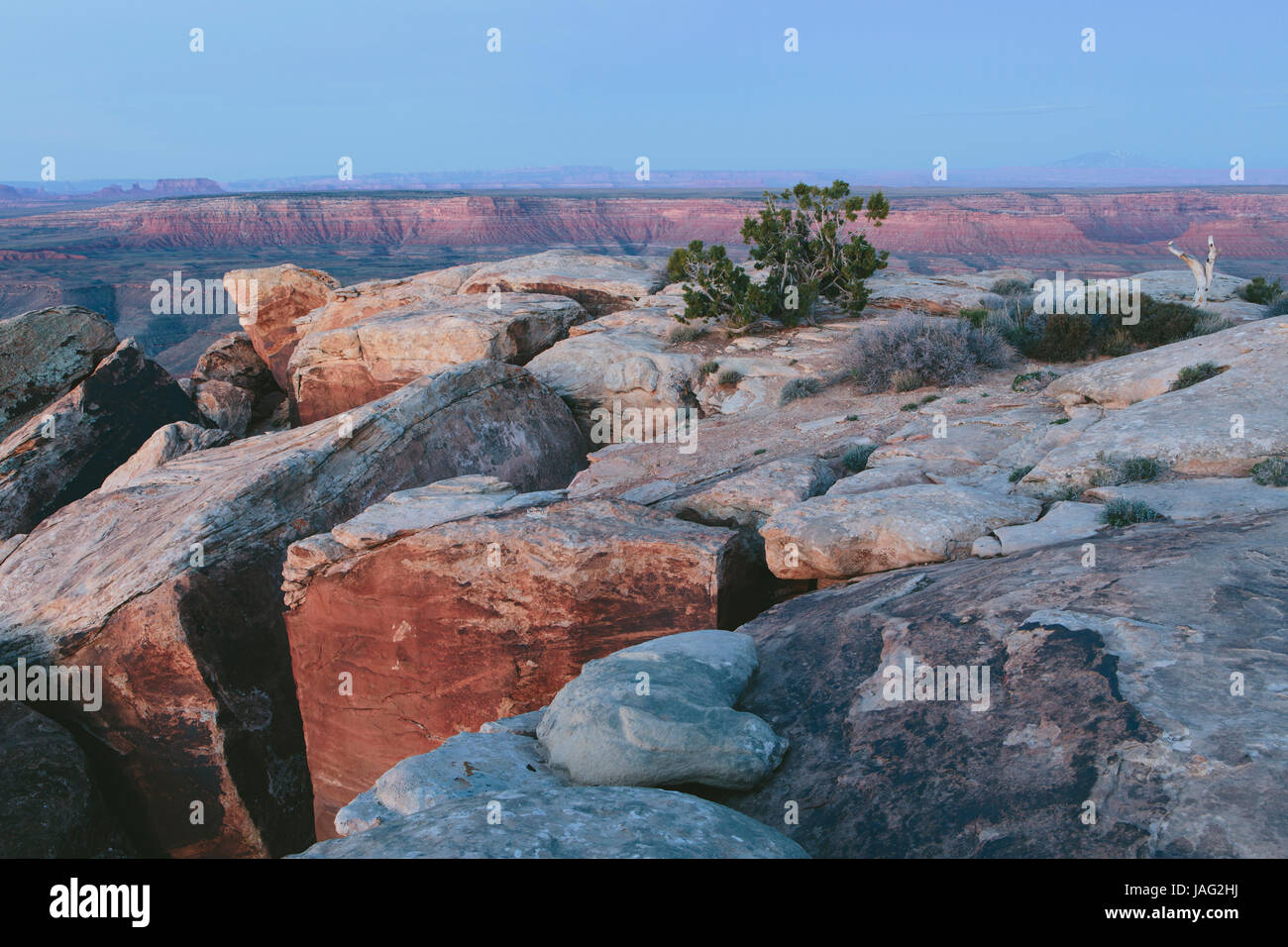 Muley Point and the view of San Juan Canyon in Bears Ears National ...