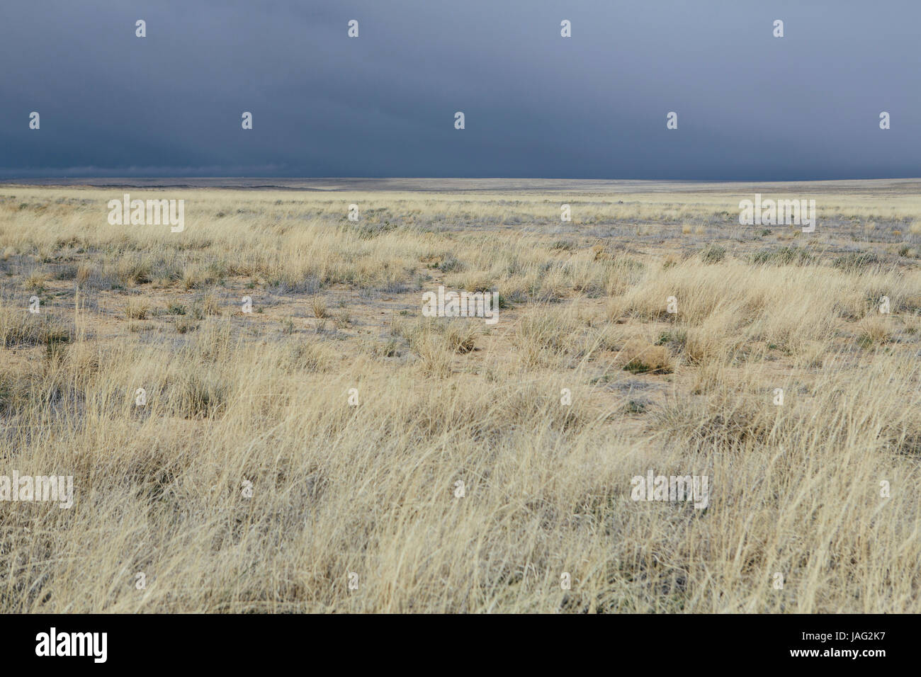 Overcast sky and desert grasslands, New Mexico Stock Photo - Alamy