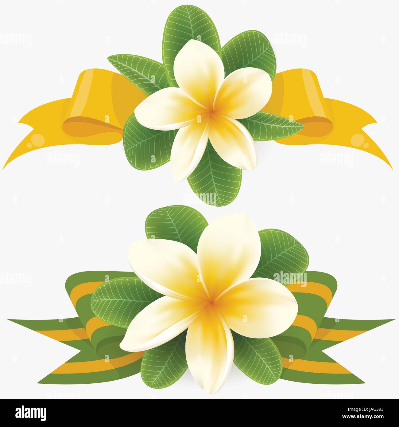 Green flower champa Stock Vector Images - Alamy