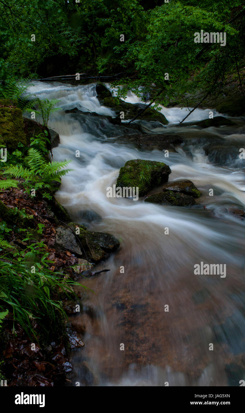 flowing stream in the forest Stock Photo - Alamy
