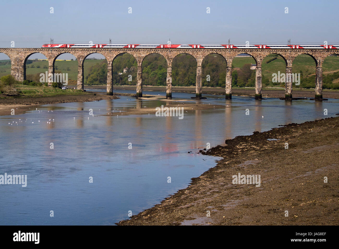 The Royal Border, Berwick-upon-Tweed Stock Photo - Alamy