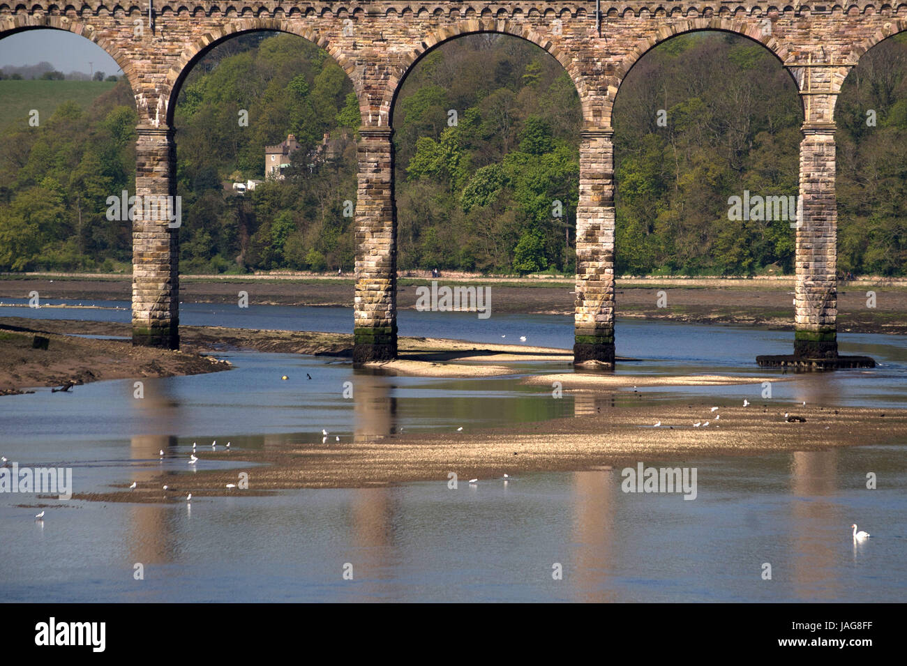 Royal border bridge sunset river tweed hi-res stock photography and ...