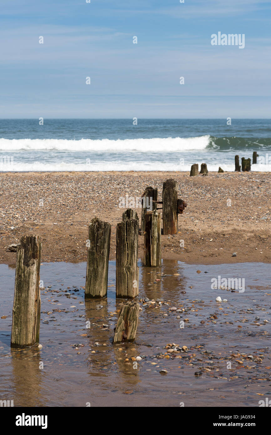 Groynes coast coastal hi-res stock photography and images - Alamy