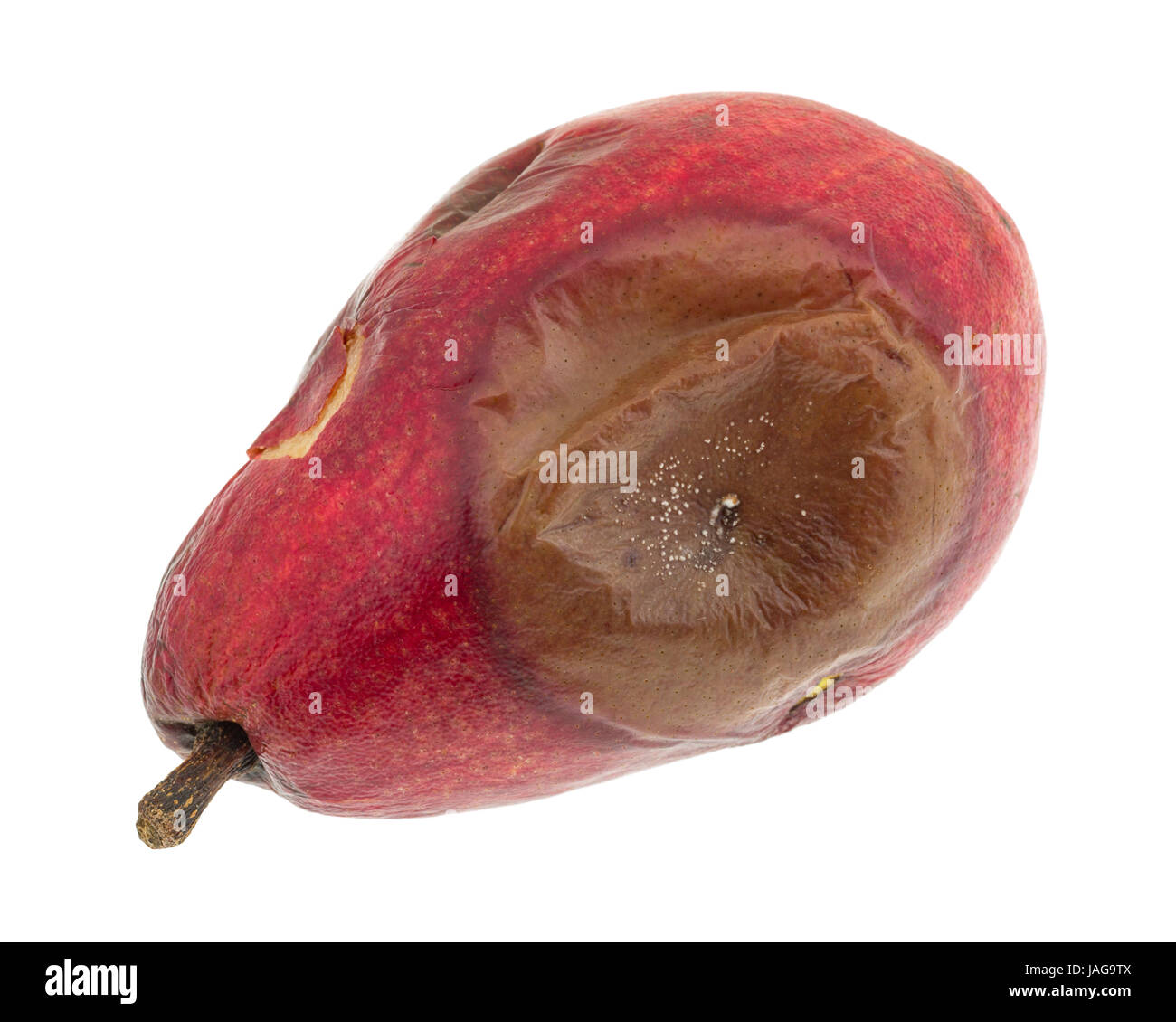 A single rotting red pear isolated on a white background Stock Photo ...
