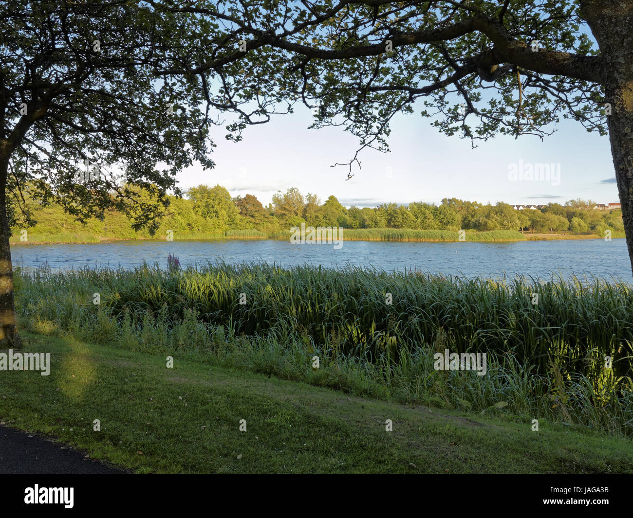 Stepps scotland hi-res stock photography and images - Alamy